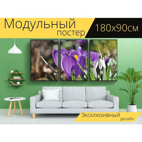 Модульный постер "Крокус, семья ирисов, фиолетовый" 180 x 90 см. для интерьера