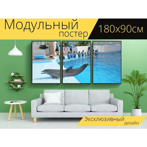 Модульный постер "Дельфин, рыба, животное" 180 x 90 см. для интерьера