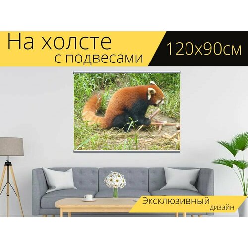 Картина на холсте "Красная панда, панда, нести" с подвесами 120х90 см. для интерьера