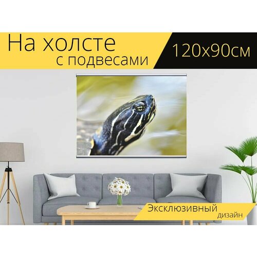 Картина на холсте "Черепаха, воды черепаха, рептилия" с подвесами 120х90 см. для интерьера