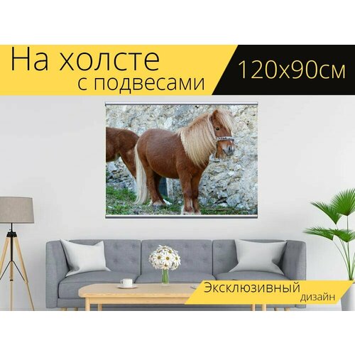 Картина на холсте "Шетландские пони, пони, лошадь" с подвесами 120х90 см. для интерьера