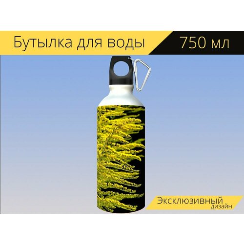 Бутылка фляга для воды "Золотарник, золотой ромб, травянистое растение" 750 мл. с карабином и принтом