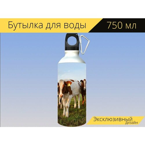 Бутылка фляга для воды "Быки, крупный рогатый скот, коровы" 750 мл. с карабином и принтом