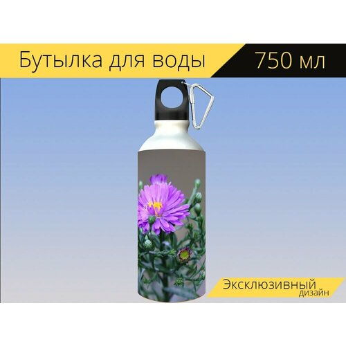 Бутылка фляга для воды "Ромашки, herbstastern, астры" 750 мл. с карабином и принтом