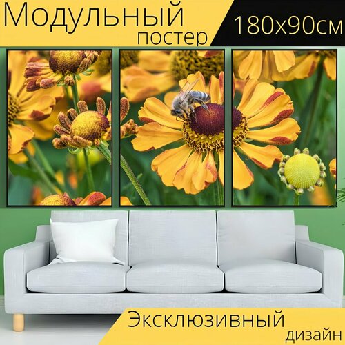 Модульный постер "Пчела, цветок, лепестки" 180 x 90 см. для интерьера