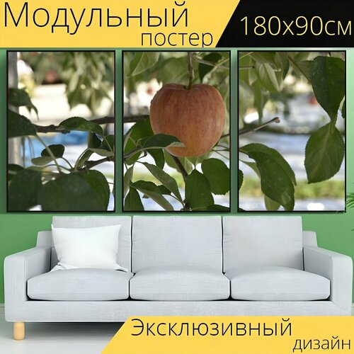 Модульный постер "Извиняться, фрукты, яблоня" 180 x 90 см. для интерьера