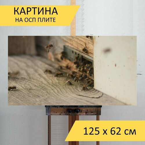 Картина на ОСП 125х62 см. "Пчелы, медовый, природа" горизонтальная, для интерьера, с креплениями