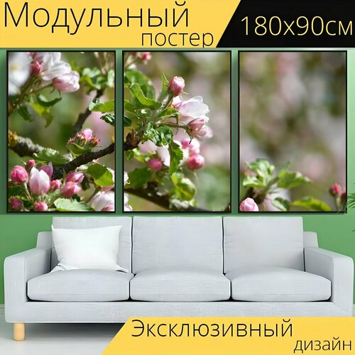 Модульный постер "Яблоневый цвет, весна, летом" 180 x 90 см. для интерьера