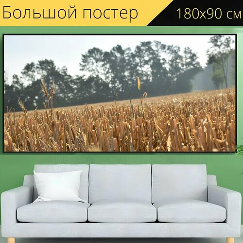 Большой постер "Кукуруза, пейзаж, природа" 180 x 90 см. для интерьера