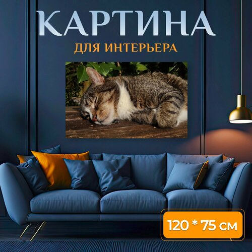 Картина на холсте "Кот, похмелье, скумбрия" на подрамнике 120х75 см. для интерьера