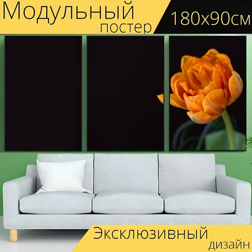 Модульный постер "Тюльпан, апельсин, оранжевый тюльпан" 180 x 90 см. для интерьера