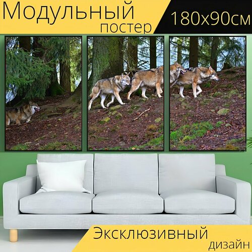 Модульный постер "Лес, волки, природа" 180 x 90 см. для интерьера
