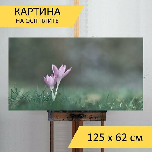 Картина на ОСП 125х62 см. "Весна, крокус, природа" горизонтальная, для интерьера, с креплениями