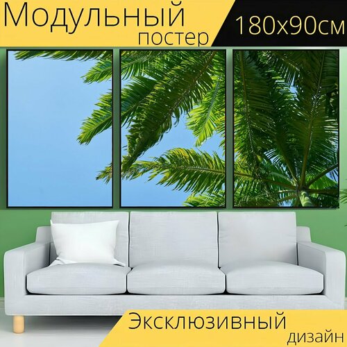 Модульный постер "Дерево, зеленый, текстура дерева" 180 x 90 см. для интерьера