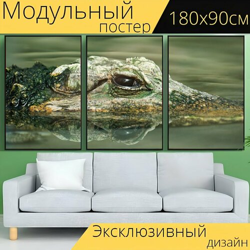 Модульный постер "Крокодил, рептилия, животное" 180 x 90 см. для интерьера