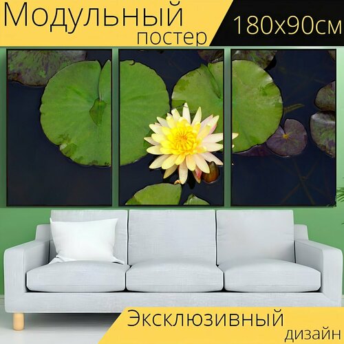 Модульный постер "Цветок, пруд, лили" 180 x 90 см. для интерьера