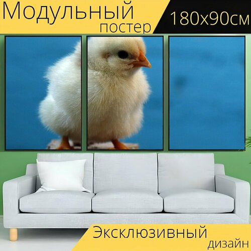 Модульный постер "Птицы, пасхальный, домашняя птица" 180 x 90 см. для интерьера