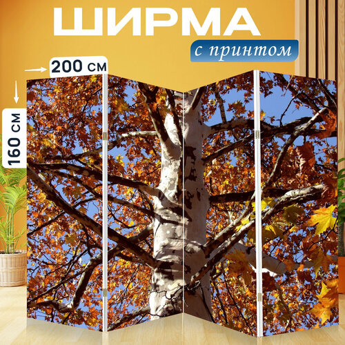 Ширма перегородка с принтом "Осень, жёлтый, праздники" на холсте - 200x160 см. для зонирования, раскладная