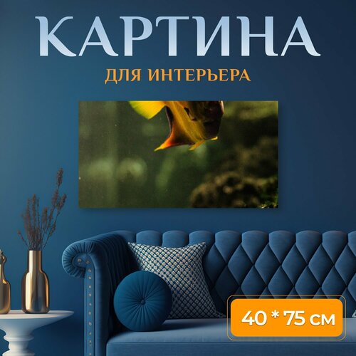 Картина на холсте "Аквариум, рыба, вода" на подрамнике 75х40 см. для интерьера
