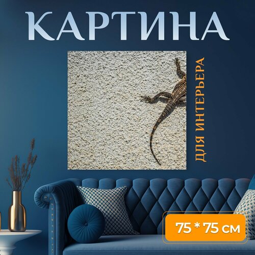 Картина на холсте "Ящерица, рептилия, стена" на подрамнике 75х75 см. для интерьера
