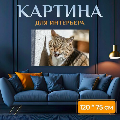 Картина на холсте "Кошки, гринь, ухмыляющийся кот" на подрамнике 120х75 см. для интерьера