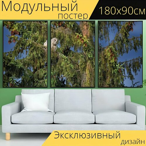 Модульный постер "Уральская сова, птица, дерево" 180 x 90 см. для интерьера