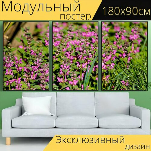 Модульный постер "Цветок, растения, весна" 180 x 90 см. для интерьера
