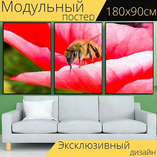 Модульный постер "Пчела, шмель, цветок" 180 x 90 см. для интерьера