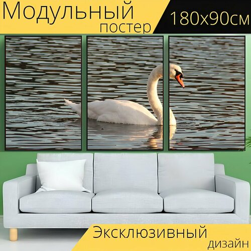 Модульный постер "Лебедь, озеро, река" 180 x 90 см. для интерьера