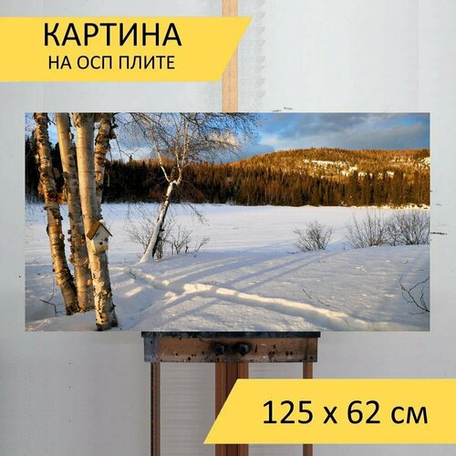 Картина на ОСП 125х62 см. "Пейзаж, зима, природа" горизонтальная, для интерьера, с креплениями