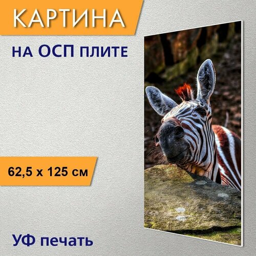 Вертикальная картина на ОСП "Зебра, полоска, полосатый" 62x125 см. для интерьериа