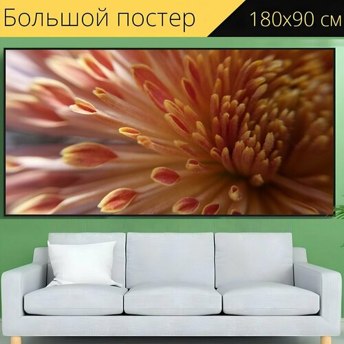 Большой постер "Природа, цвет, цветок" 180 x 90 см. для интерьера