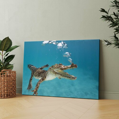 Картина на холсте (Крокодил плавает в воде с рыбой) 60x80 см. Интерьерная, на стену.
