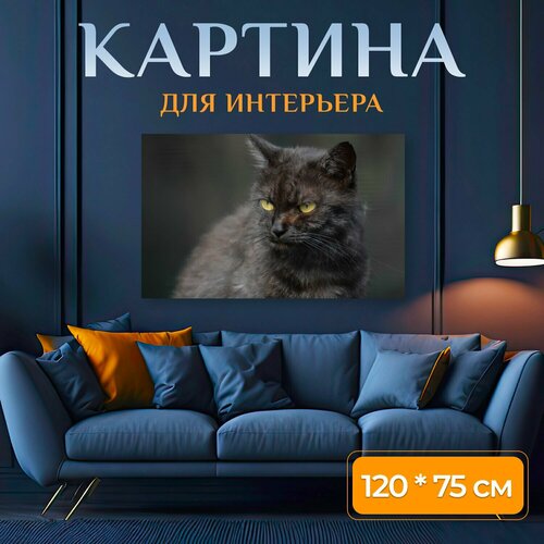 Картина на холсте "Кошка, кошачий, шерсть" на подрамнике 120х75 см. для интерьера