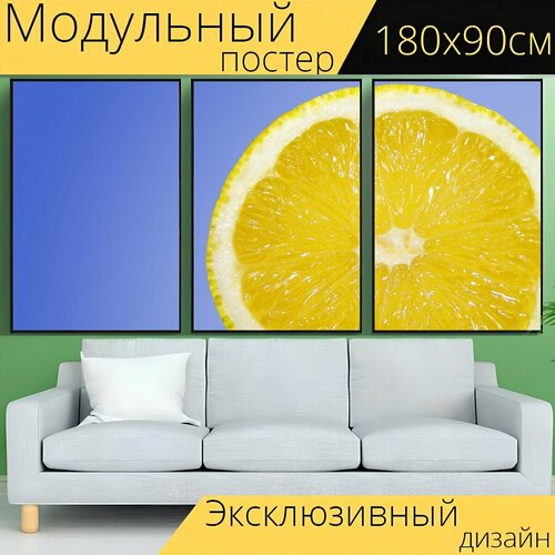 Модульный постер "Лимон, фрукты, кусочек" 180 x 90 см. для интерьера
