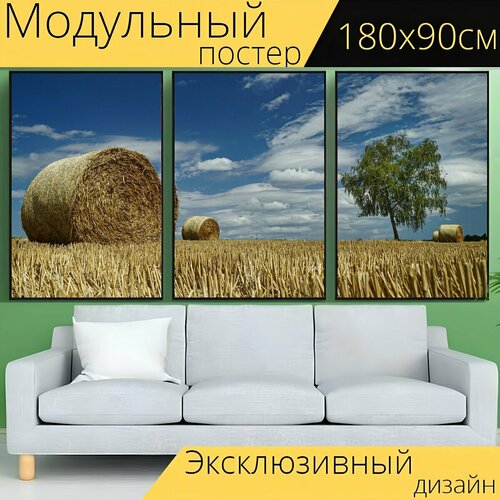 Модульный постер "Щетина, солома, сельское хозяйство" 180 x 90 см. для интерьера