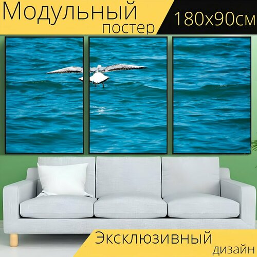 Модульный постер "Белый голубь, море, индия" 180 x 90 см. для интерьера