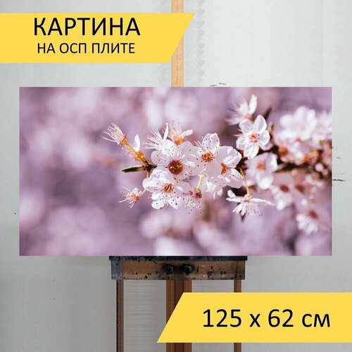 Картина на ОСП 125х62 см. "Вишня в цвету, цвести, вишневое дерево" горизонтальная, для интерьера, с креплениями