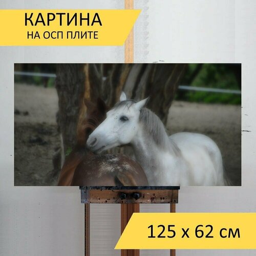 Картина на ОСП 125х62 см. "Лошадь, животное, млекопитающее" горизонтальная, для интерьера, с креплениями