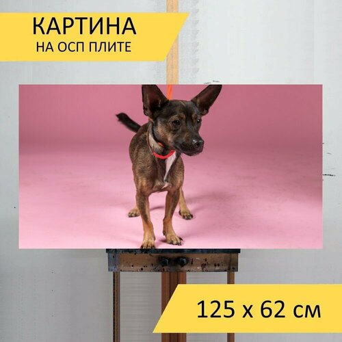 Картина на ОСП 125х62 см. "Собака, щенок, домашний питомец" горизонтальная, для интерьера, с креплениями