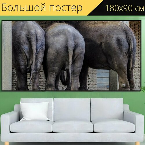 Большой постер "Слоны, три, зоопарк" 180 x 90 см. для интерьера