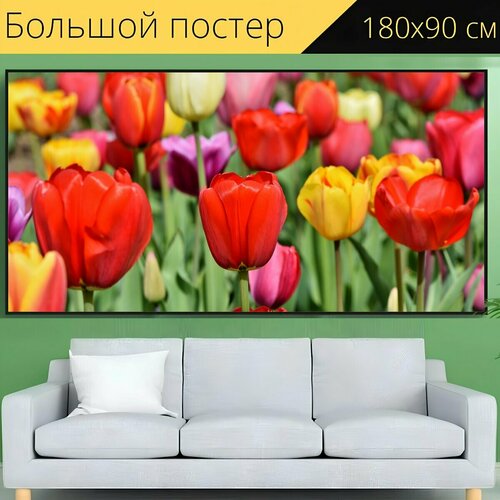 Большой постер "Тюльпаны, поле тюльпанов, цветок тюльпана" 180 x 90 см. для интерьера