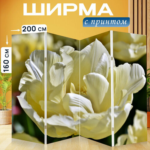 Ширма перегородка с принтом "Тюльпан, цветок тюльпана, поле тюльпанов" на холсте - 200x160 см. для зонирования, раскладная