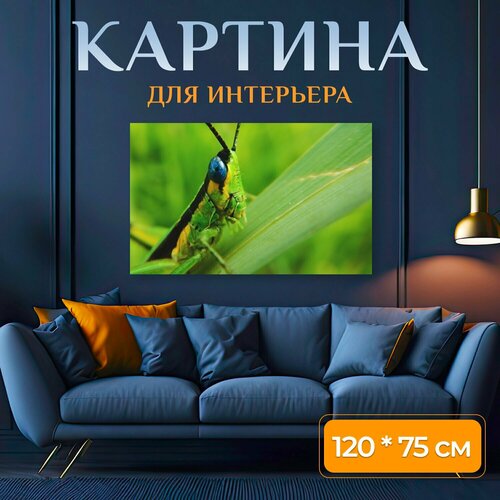 Картина на холсте "Кузнечик, насекомые, площадка" на подрамнике 120х75 см. для интерьера