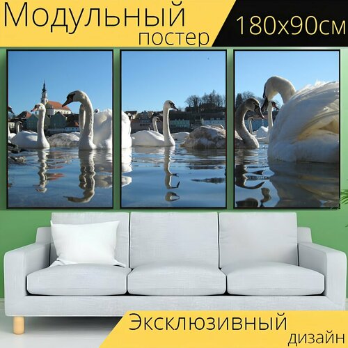 Модульный постер "Лебеди, вода, птицы" 180 x 90 см. для интерьера