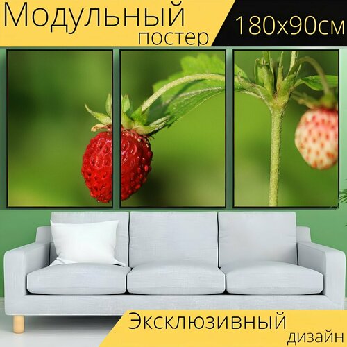 Модульный постер "В клубнике, ягода, природа" 180 x 90 см. для интерьера