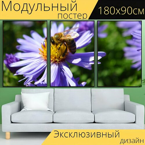 Модульный постер "Астра, пчела, природа" 180 x 90 см. для интерьера