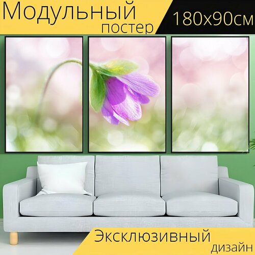 Модульный постер "Цветок, гепатит, весна" 180 x 90 см. для интерьера