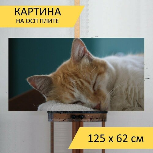 Картина на ОСП 125х62 см. "Кошка, кошачий, спать" горизонтальная, для интерьера, с креплениями
