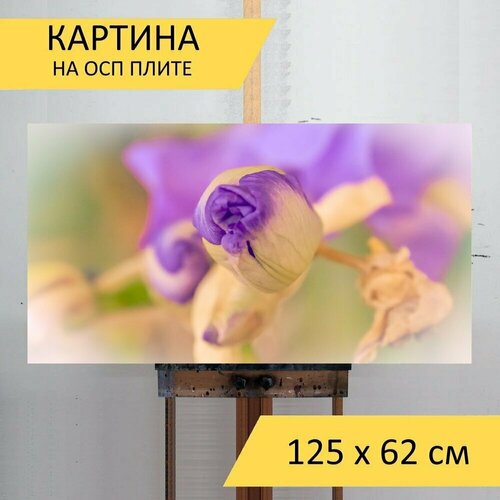 Картина на ОСП 125х62 см. "Цветок, вылупление, фиолетовый" горизонтальная, для интерьера, с креплениями